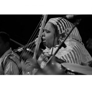 Dimi Mint Abba - Afrisson